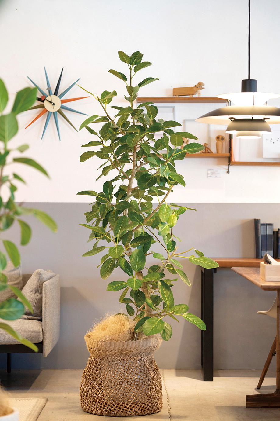 インテリアショップSTYLE(スタイル)｜群馬・家具 | - 群馬、栃木、埼玉で家具・インテリアならインテリアショップスタイルへ